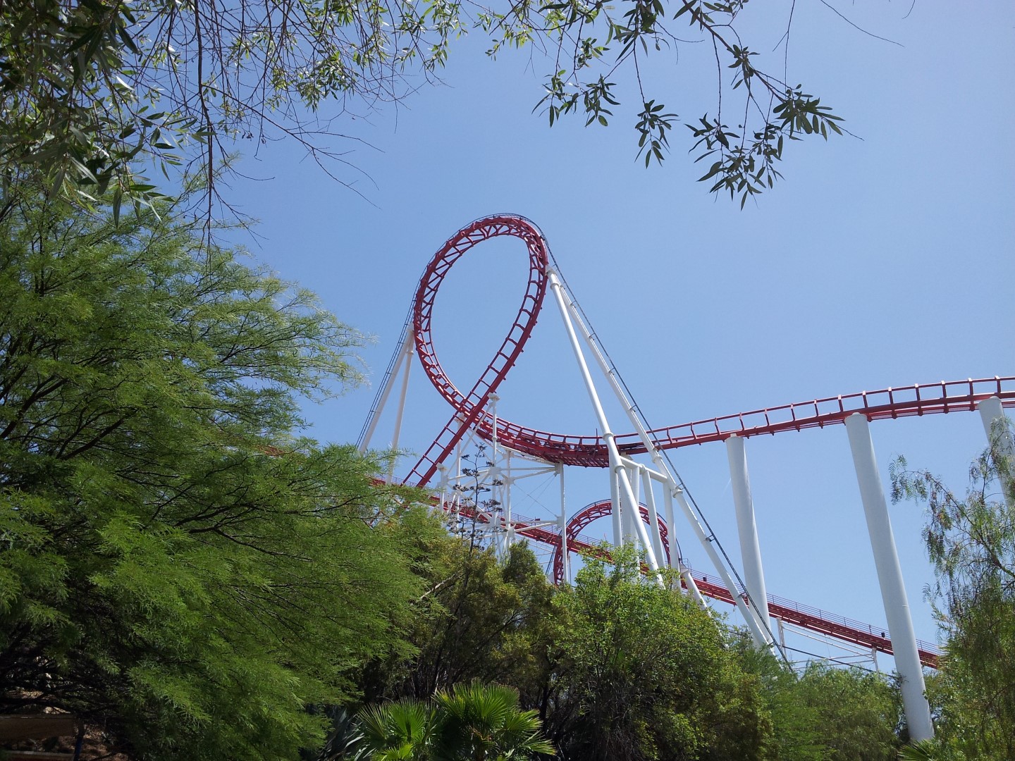 The 5 Best Vertical Loops in California