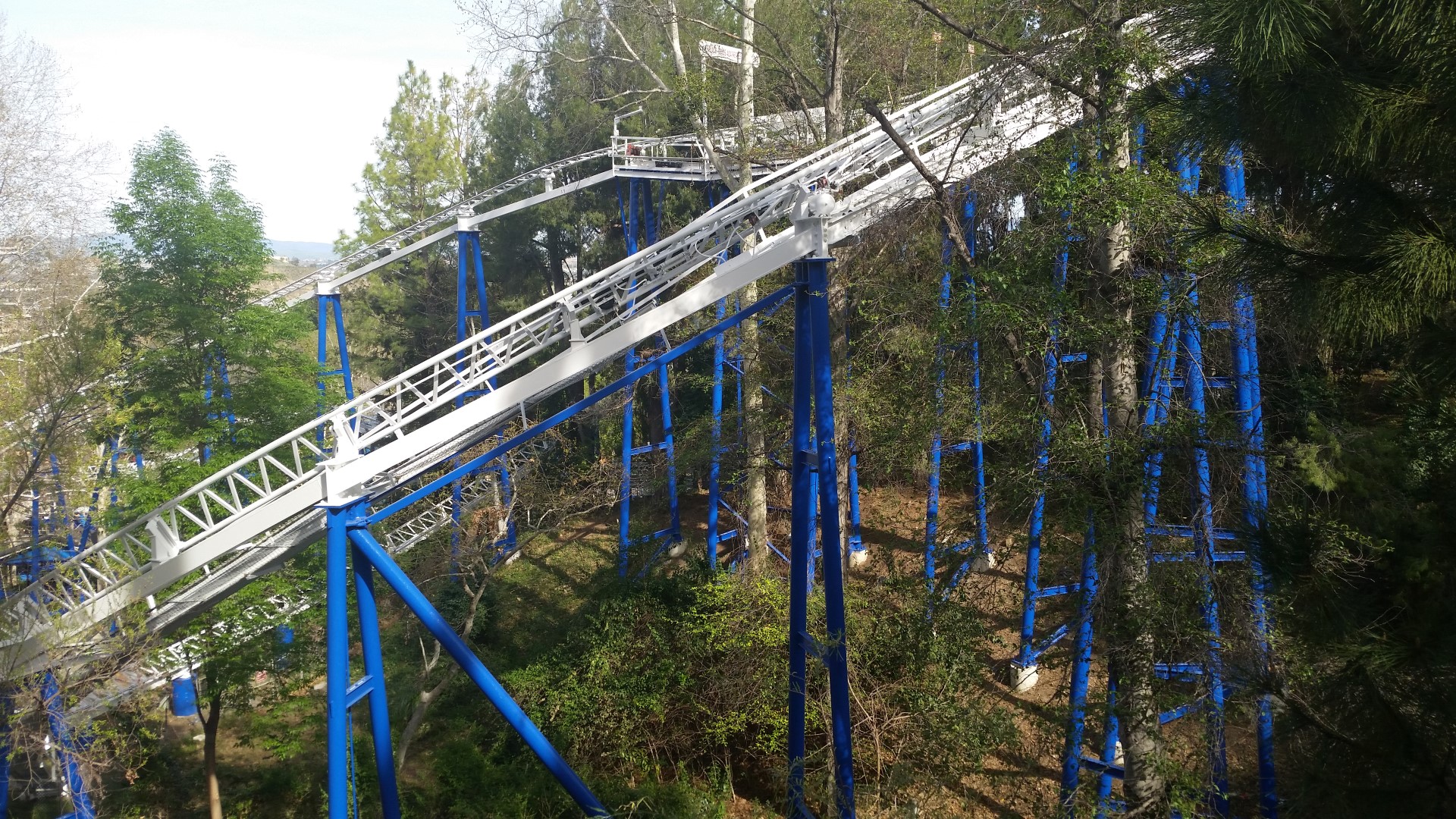 Six Flags Magic Mountain at Capacity + Quick Update - Coaster Kings