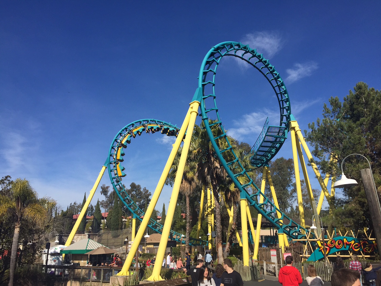 image1 - Coaster Kings