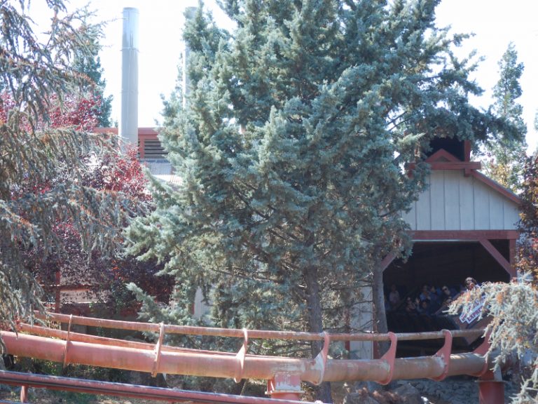 Quicksilver Express Ride Review - Coaster Kings