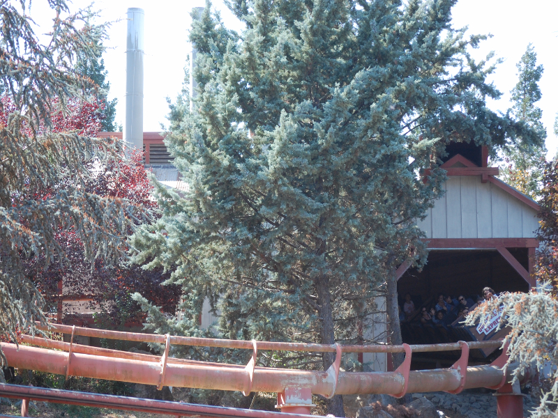 Quicksilver Express Ride Review - Coaster Kings