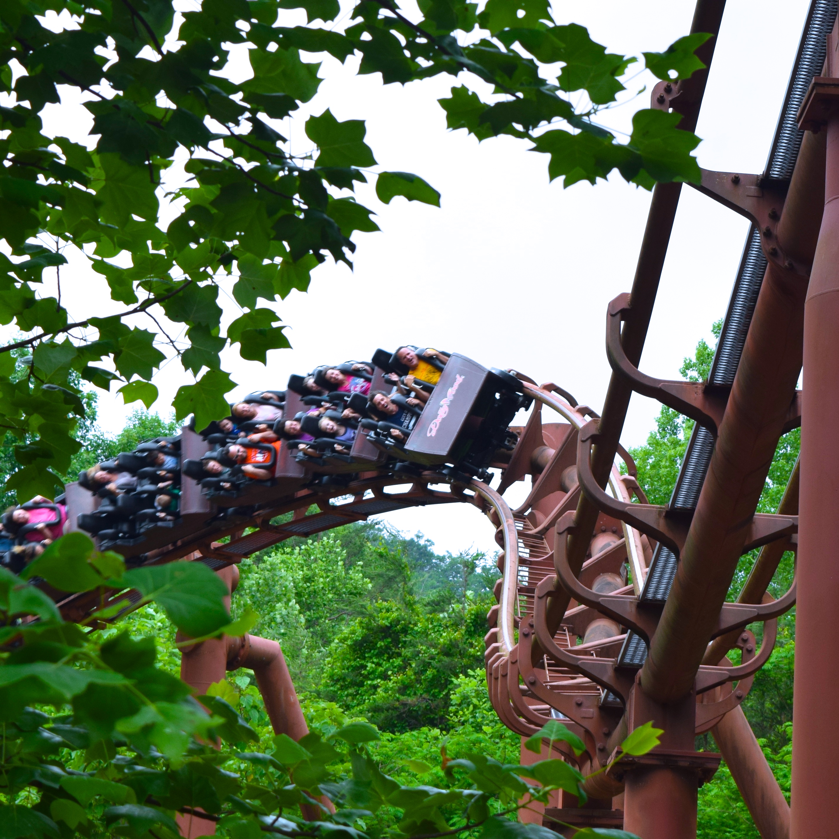 Dollywood – Lightning Rod Run - Coaster Kings