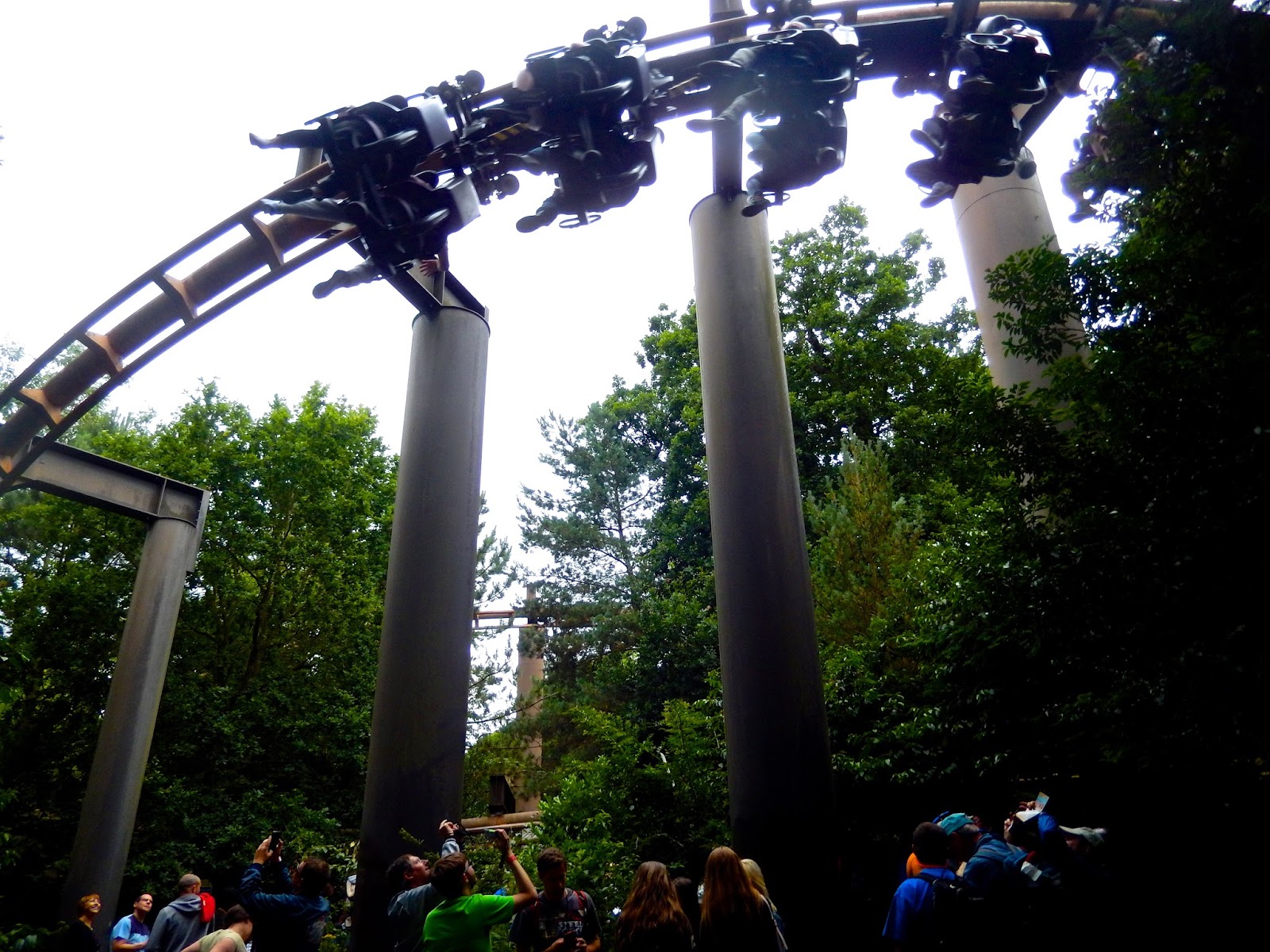 Floorless Ninja: How Vekoma Trains Could Elevate the Blackbelt of ...