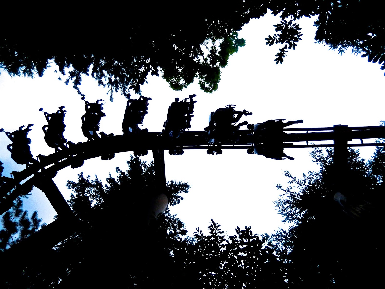 Floorless Ninja: How Vekoma Trains Could Elevate the Blackbelt of ...