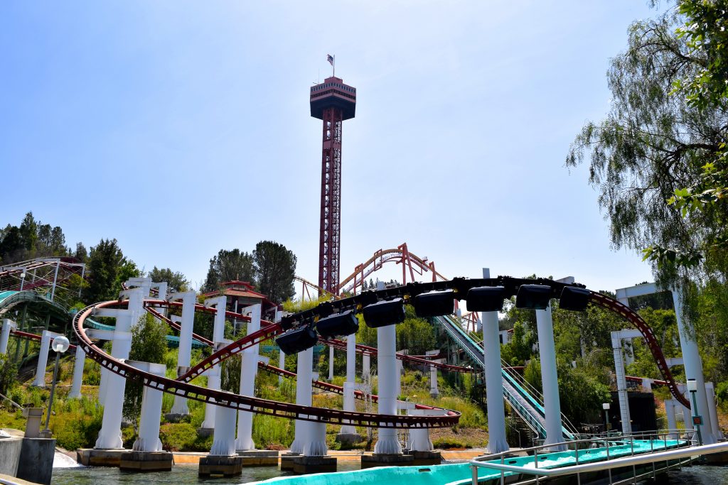 Floorless Ninja: How Vekoma Trains Could Elevate the Blackbelt of ...