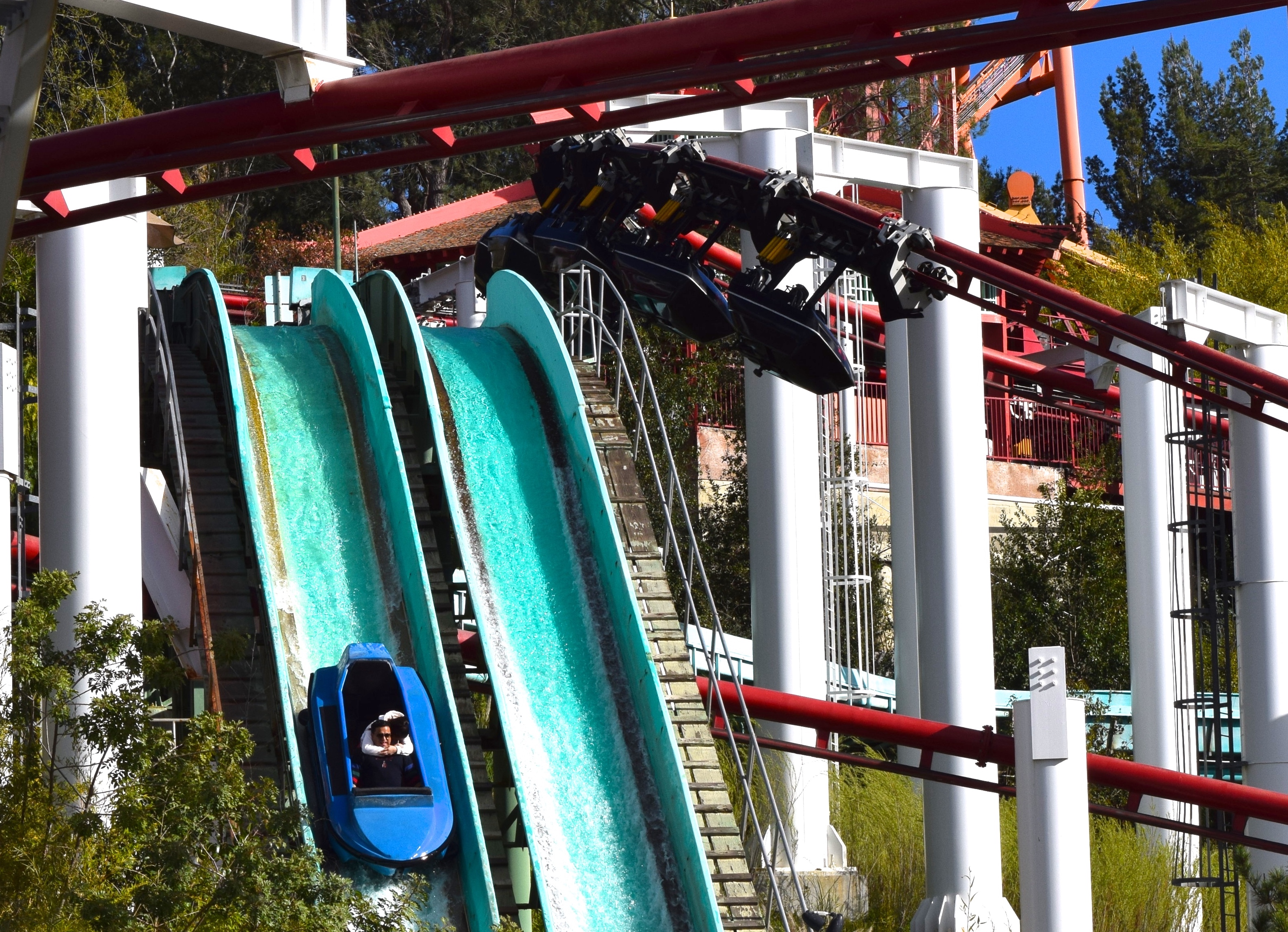 Floorless Ninja: How Vekoma Trains Could Elevate the Blackbelt of ...