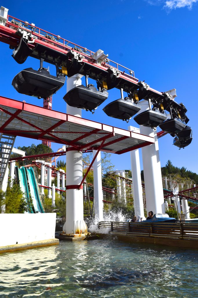 Floorless Ninja: How Vekoma Trains Could Elevate the Blackbelt of ...
