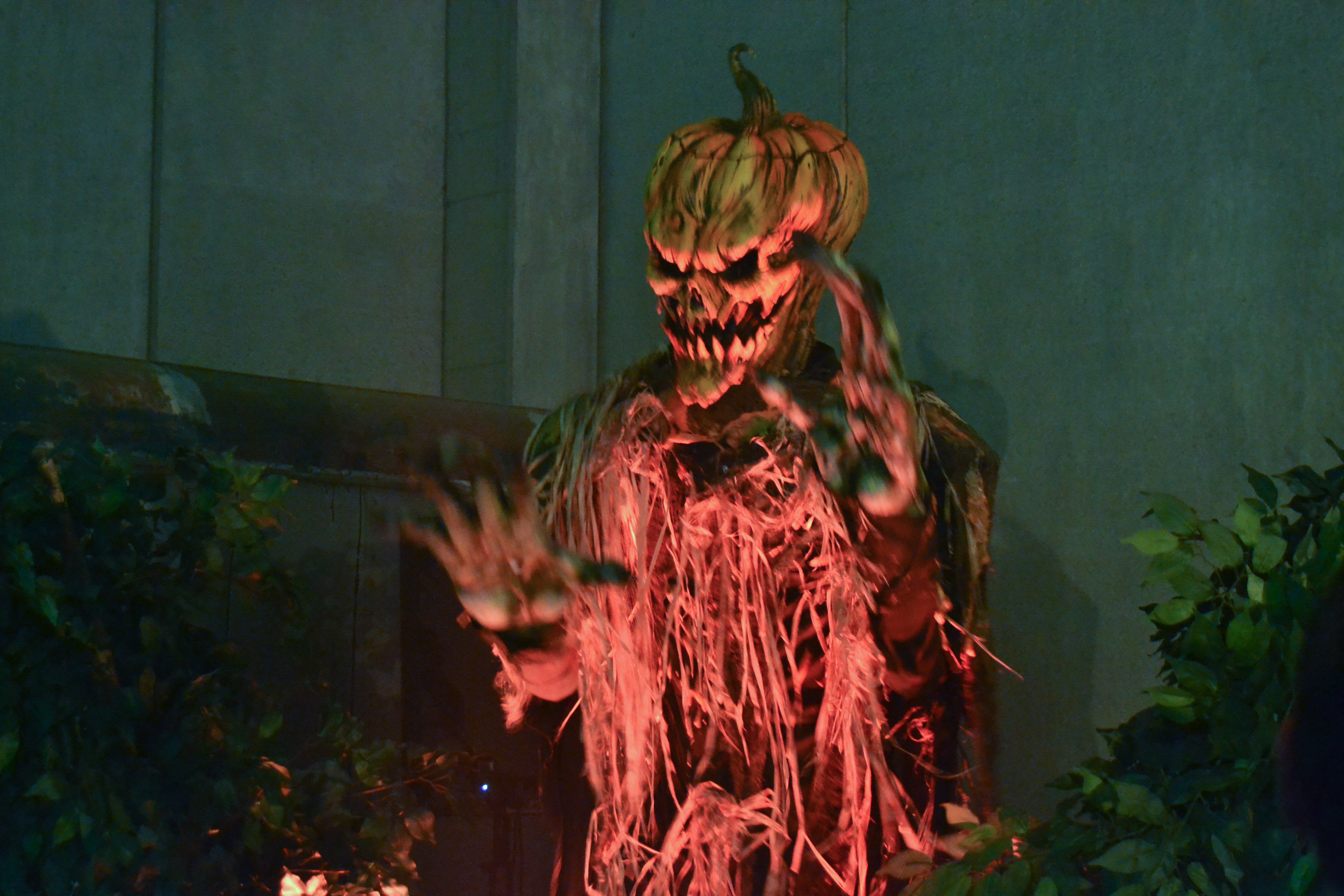 Official Reveal of Horrorland - Coaster Kings