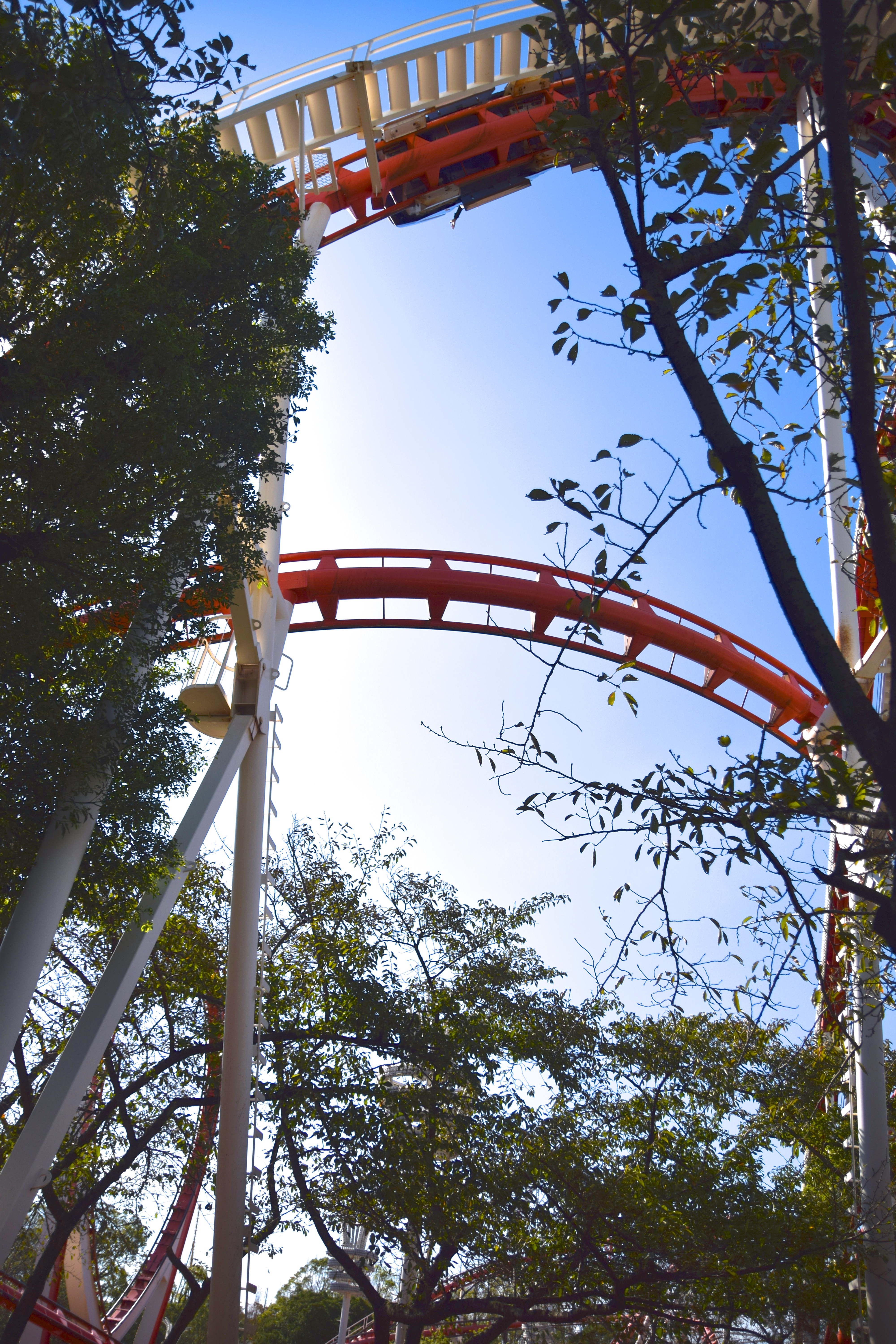 Nagashima Spa Land – Cedar Point of Japan - Coaster Kings