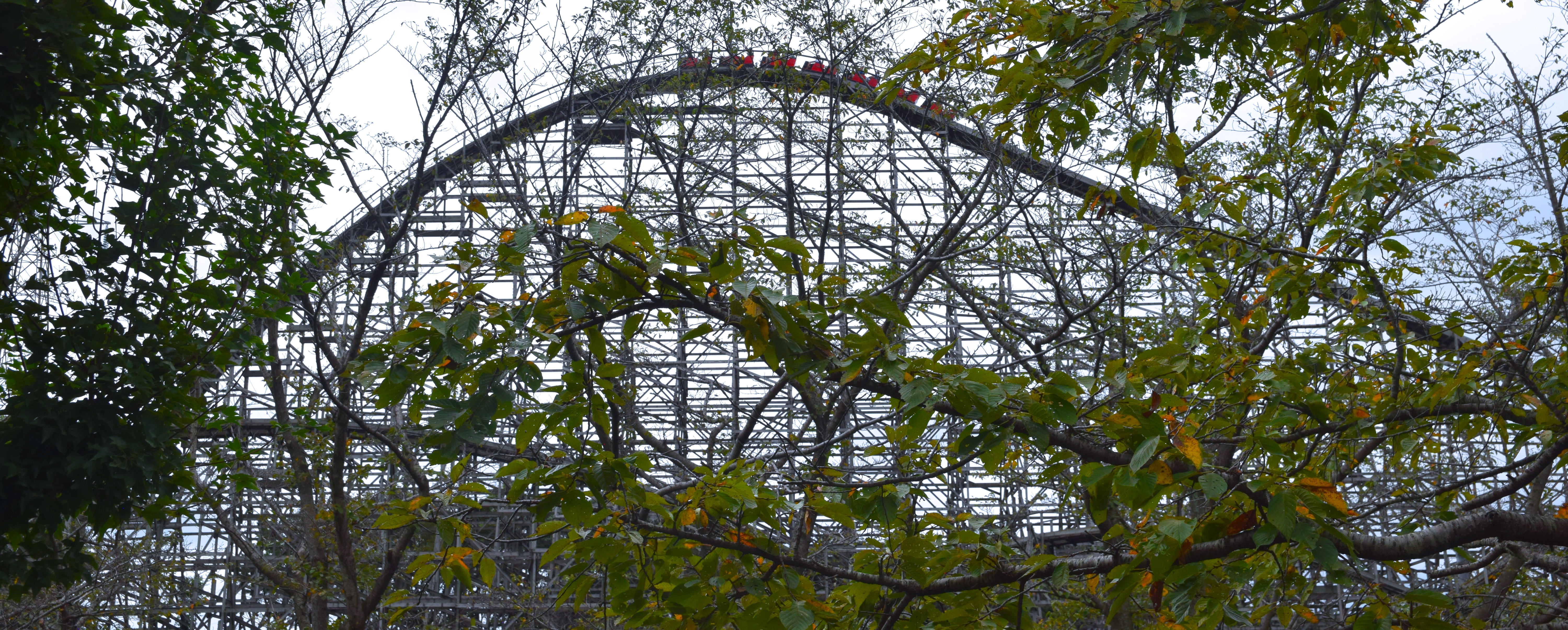 Tobu Zoo - Coaster Kings