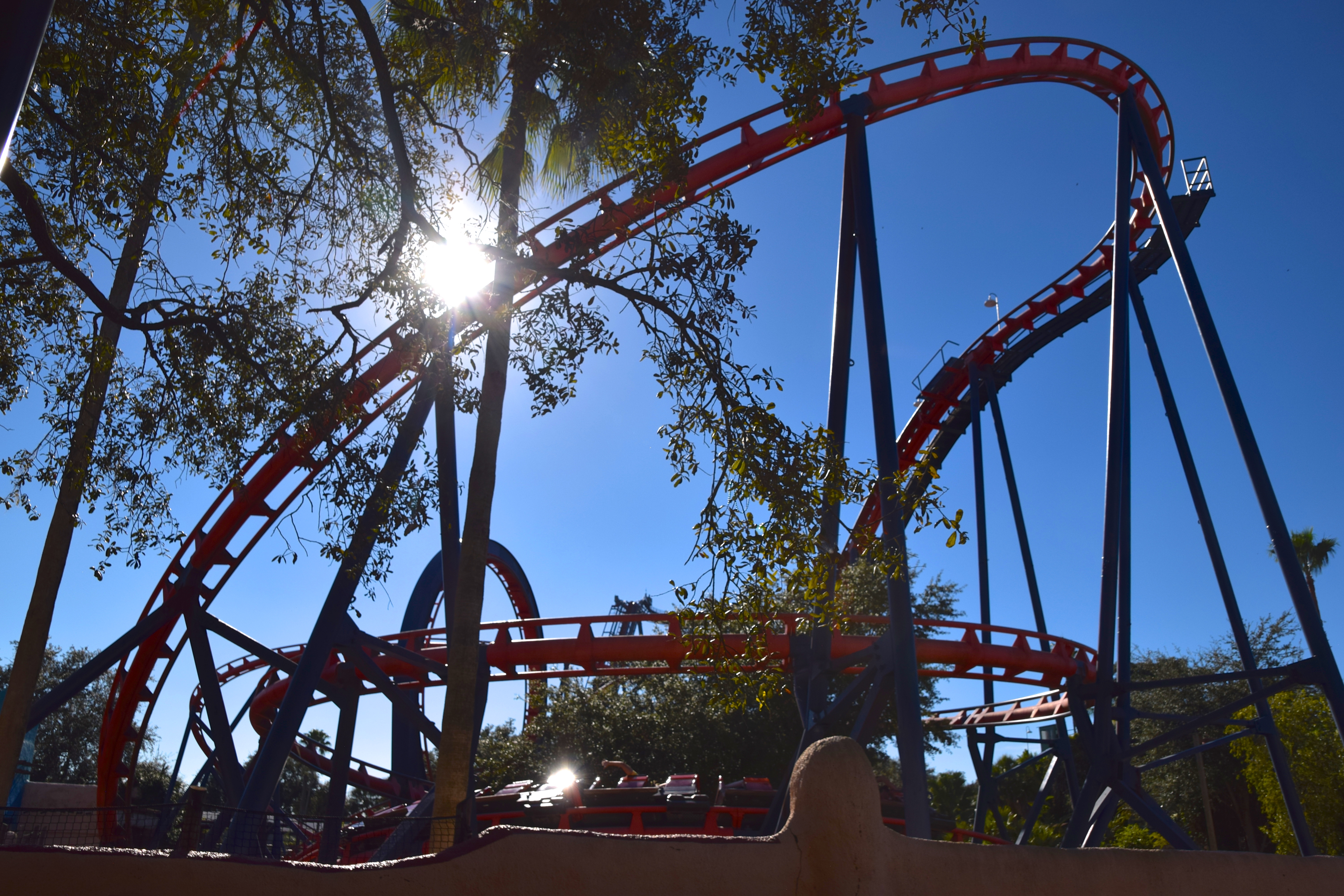 Busch Gardens Tampa and Tigris Update - December 6th, 2018 - Coaster Kings