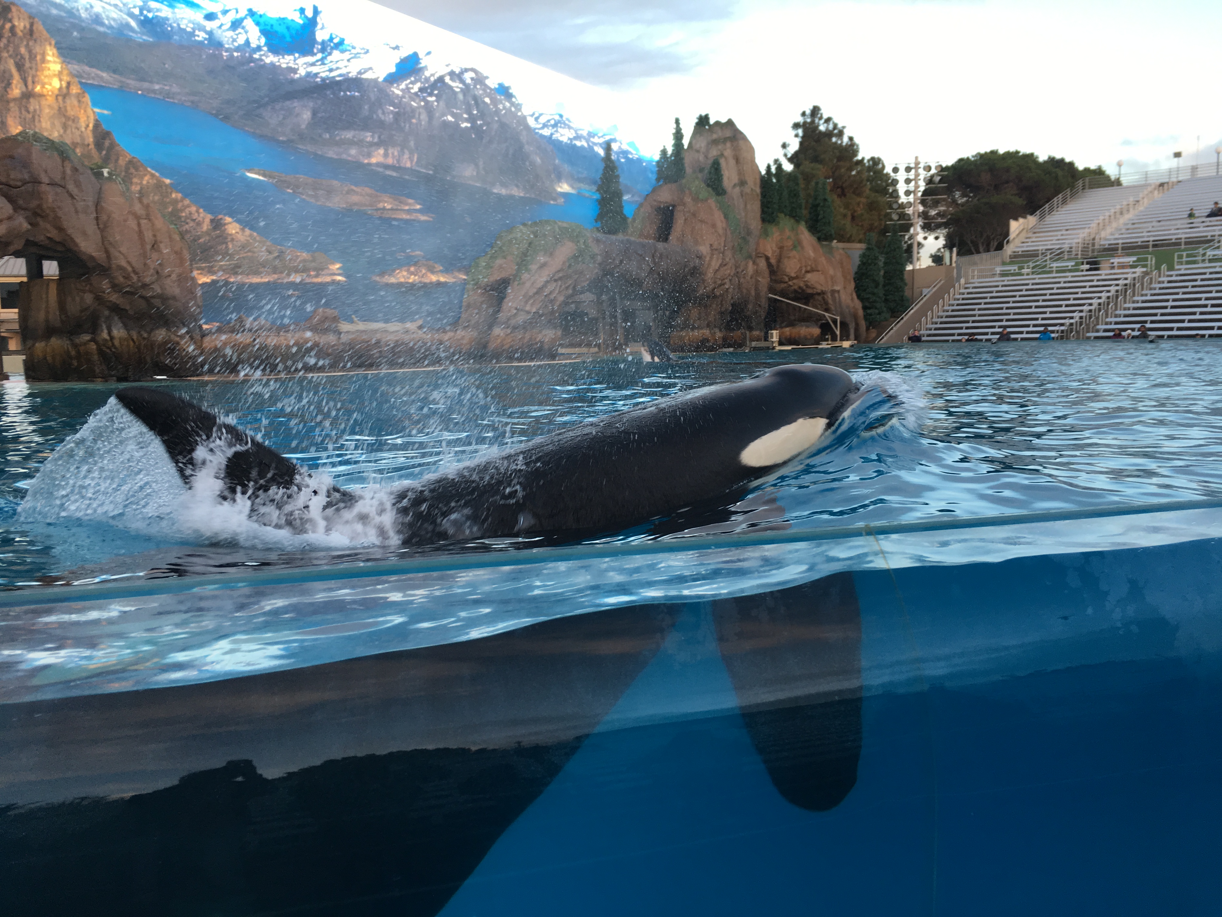 SeaWorld San Diego- Late December 2018 - Coaster Kings