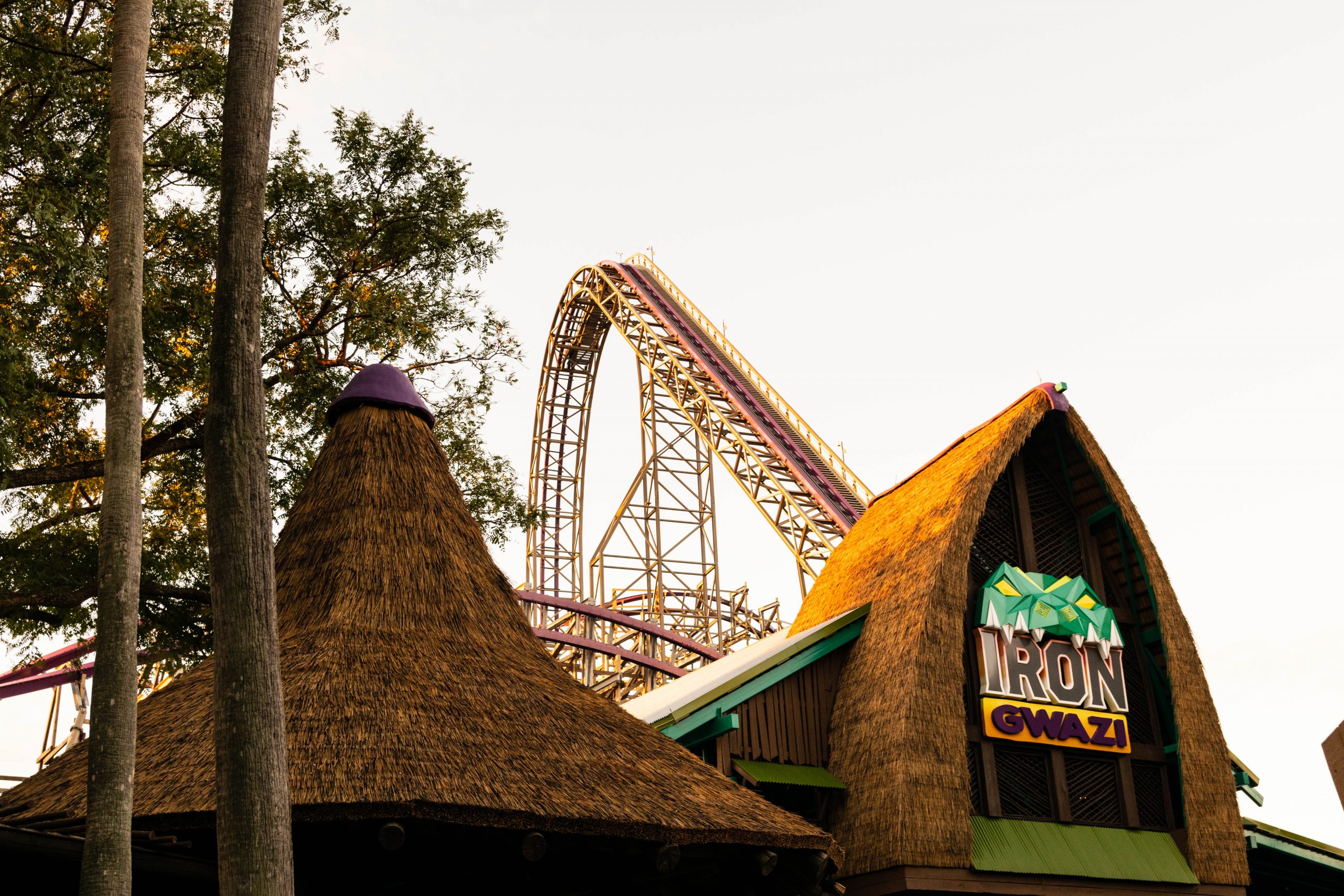 Iron Gwazi Picture Update - November 21, 2020 - Coaster Kings