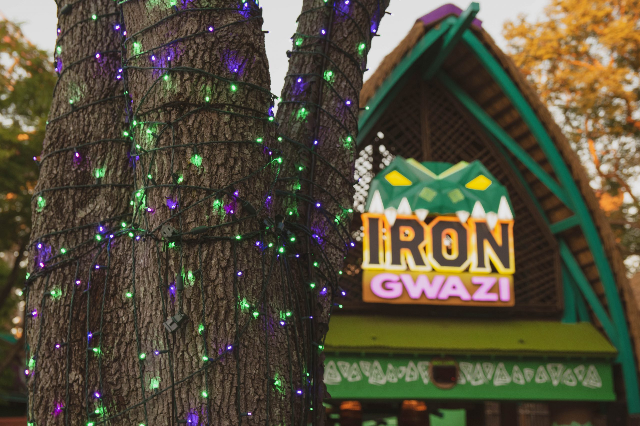 Iron Gwazi Picture Update - November 21, 2020 - Coaster Kings