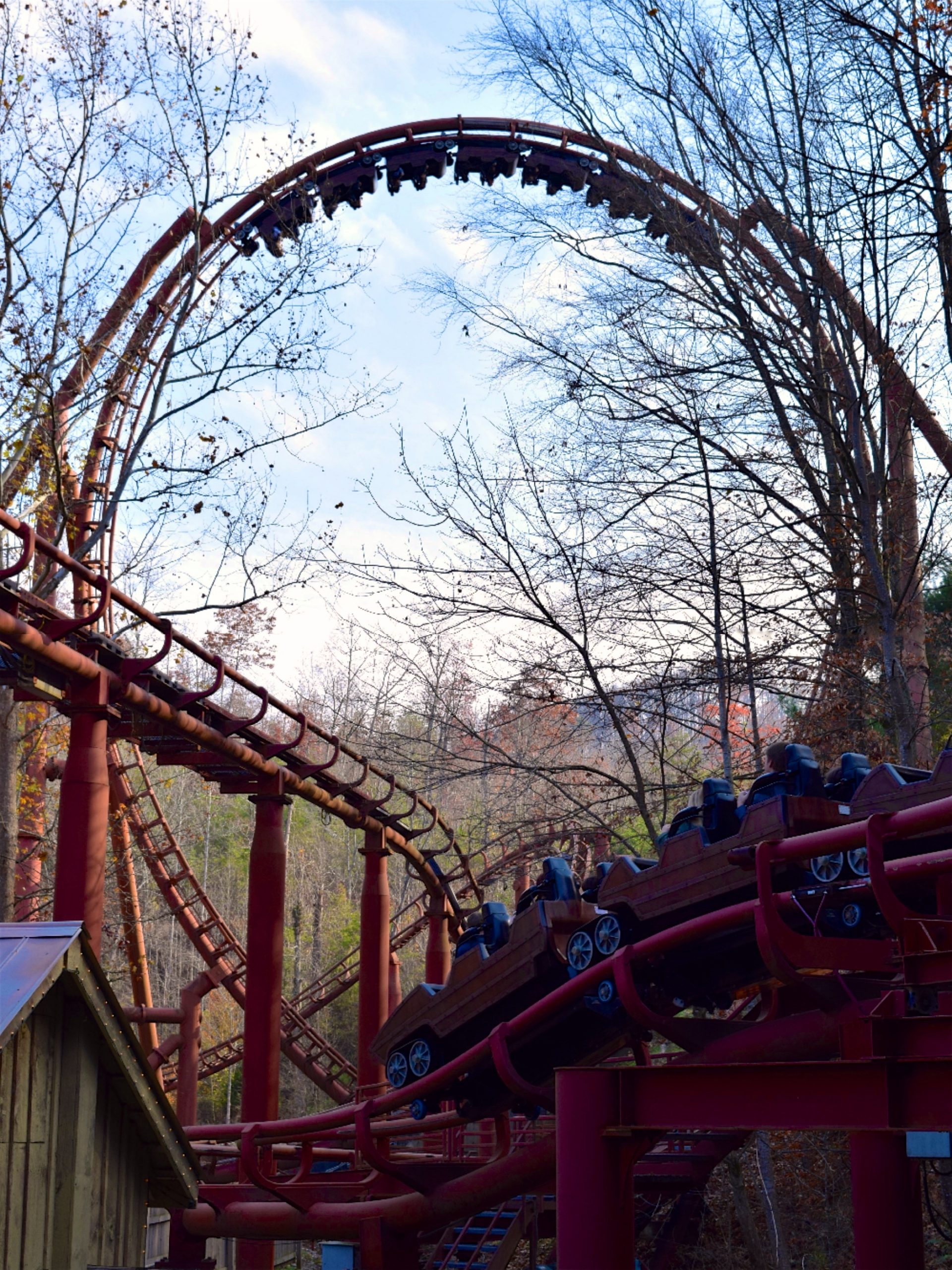 The 5 Best Arrow Loopers - Coaster Kings