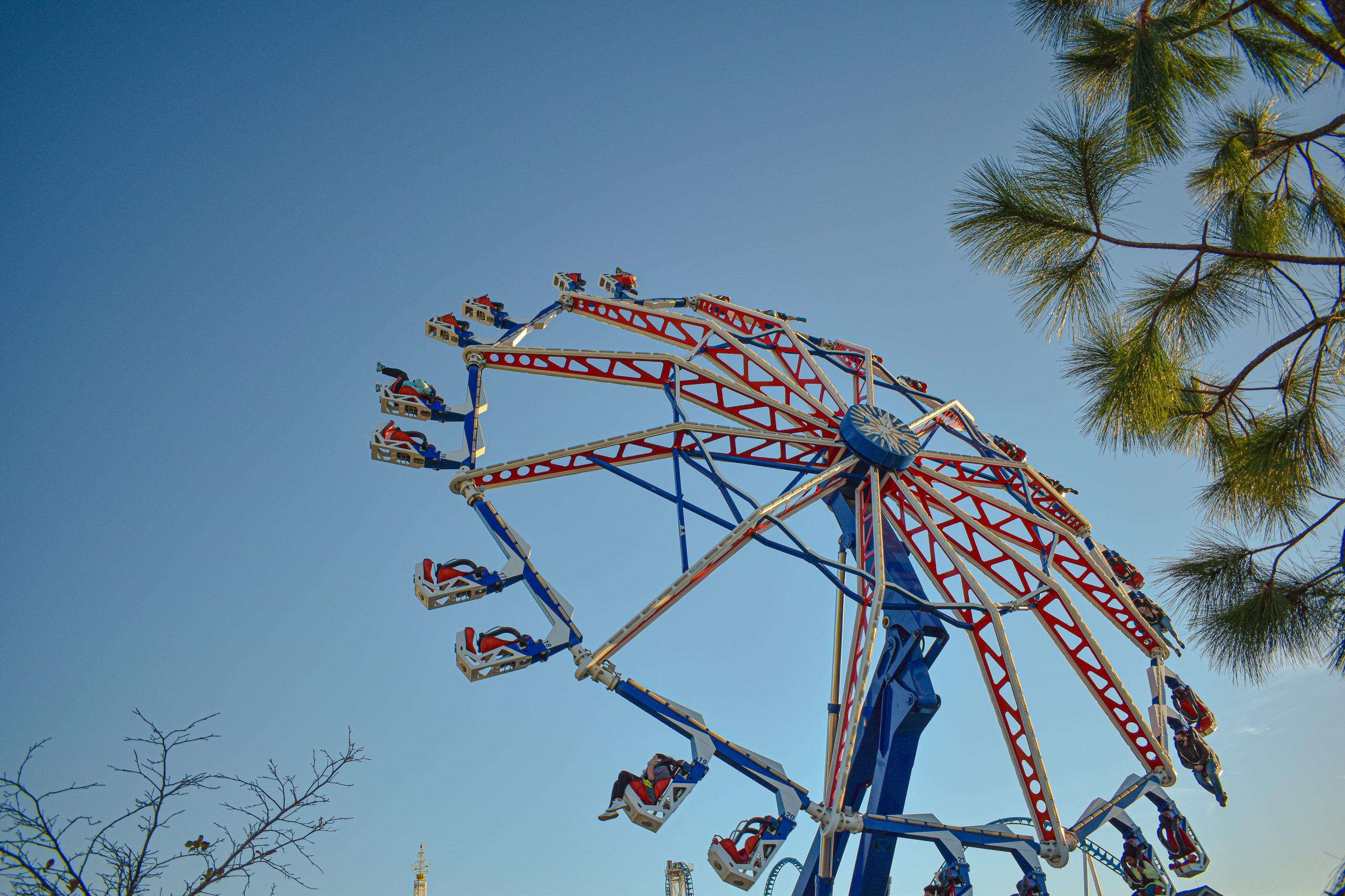 The Park at OWA - Coaster Kings