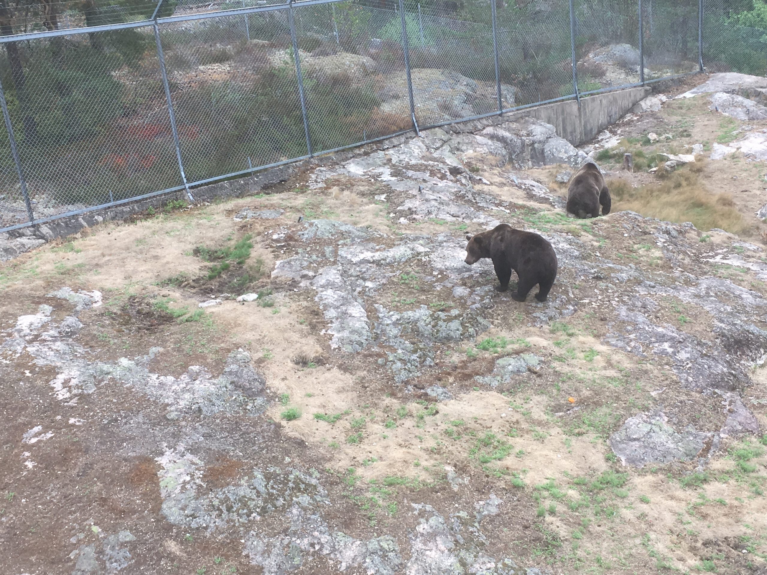 Scandinavia Series- Part 6: Kolmården Wildlife Park, Sweden - Coaster Kings