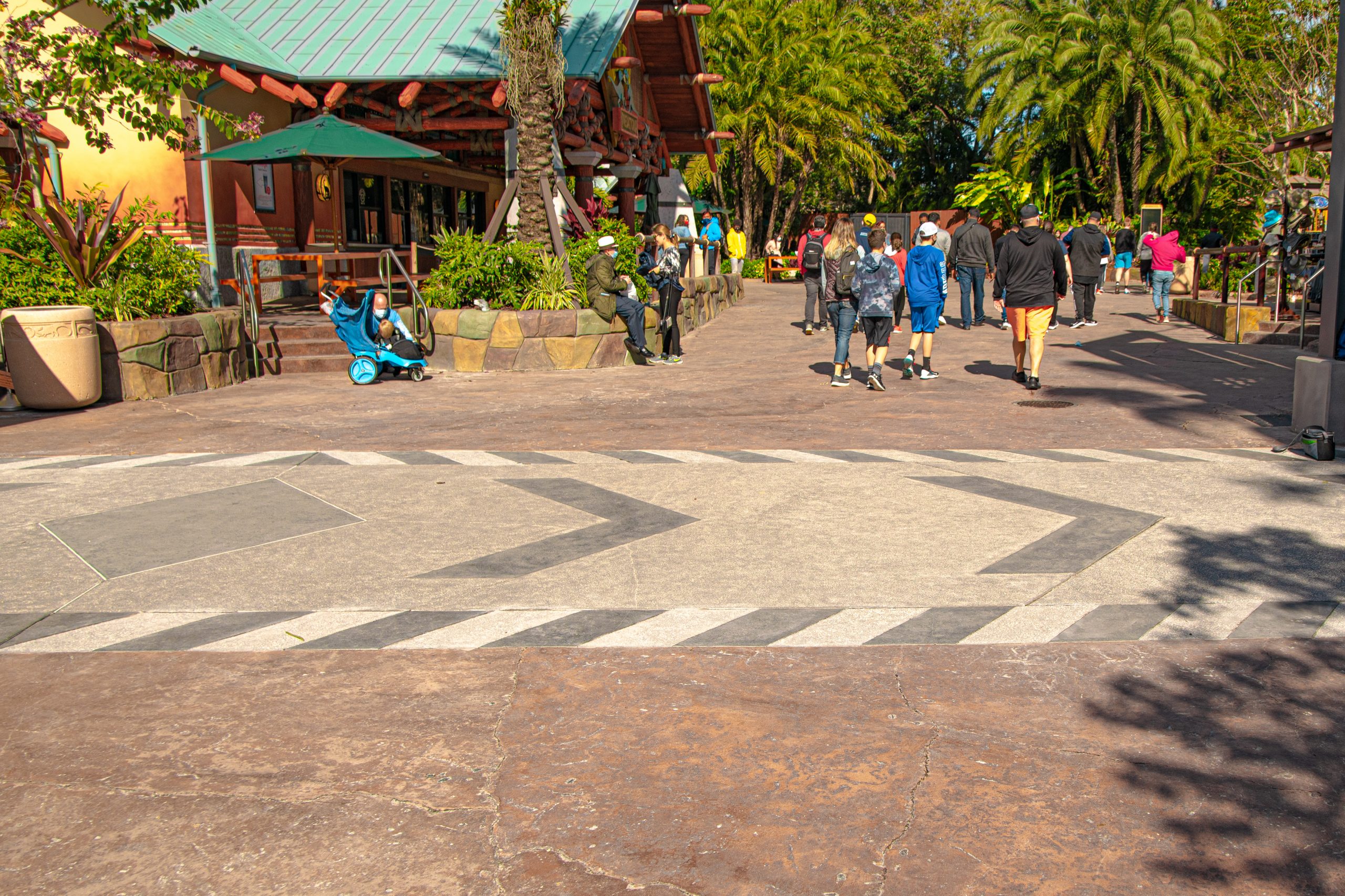 Jurassic World: VelociCoaster Update and Testing Footage - Early ...