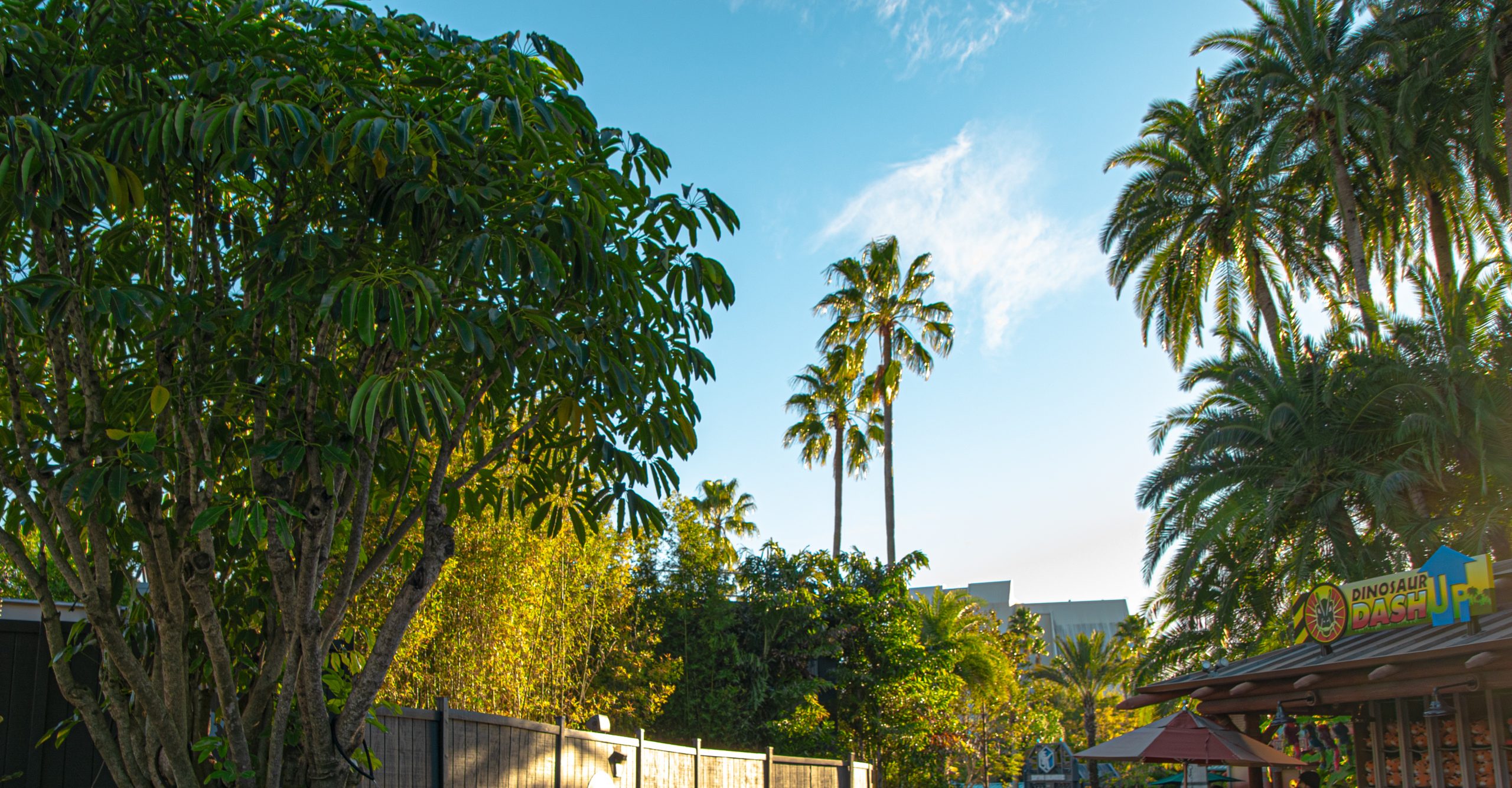 Jurassic World: VelociCoaster Update and Testing Footage - Early ...