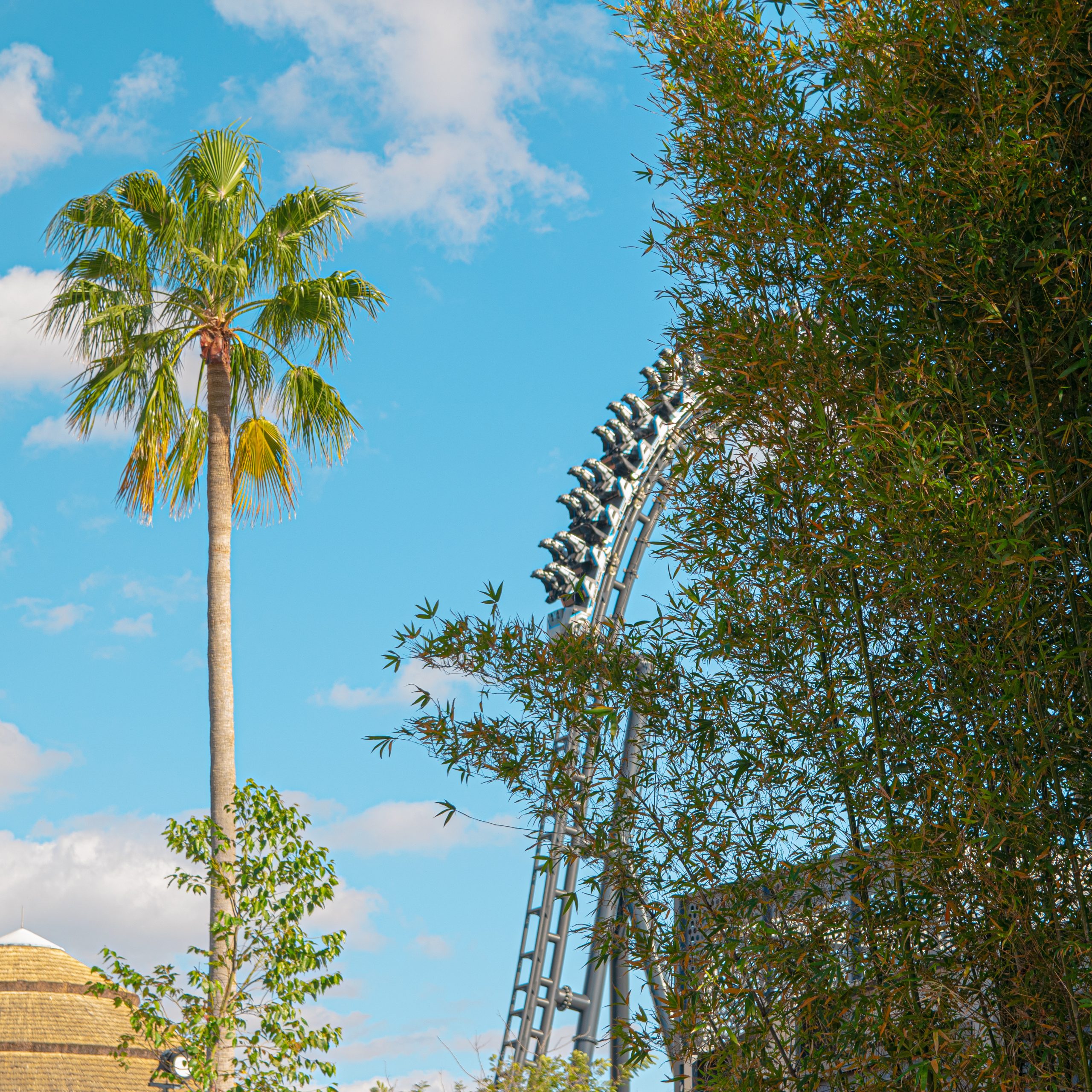 Jurassic World: VelociCoaster Update and Testing Footage - Early ...
