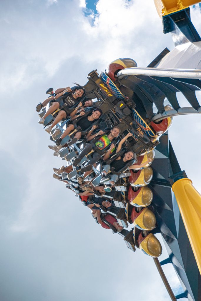 Montu and SheiKra Reopened! Busch Gardens Tampa Trip Report - Coaster Kings